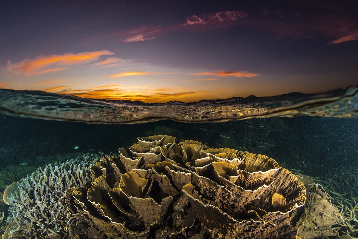 Australian Photography