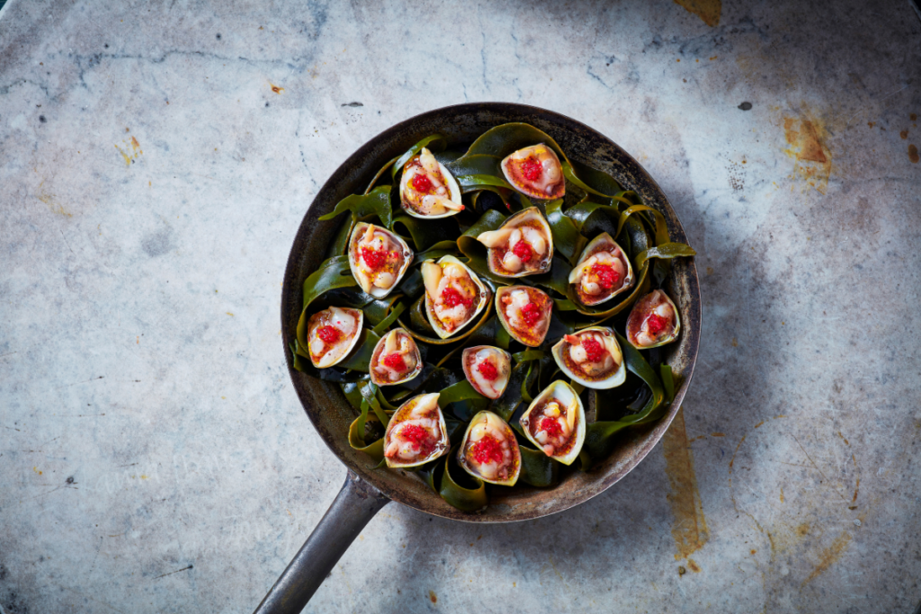 Australia and New Zealand Unite with Downloadable Recipe Book, Taste ...