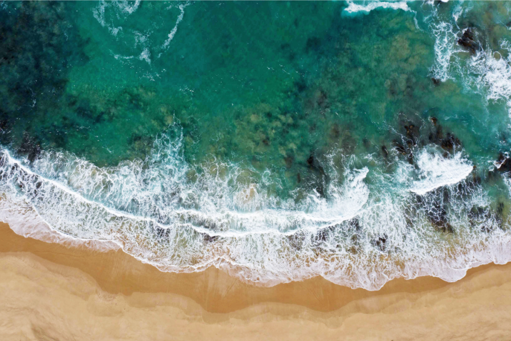 Swim Through These Six Best Beaches in Melbourne, Victoria - Hunter and ...