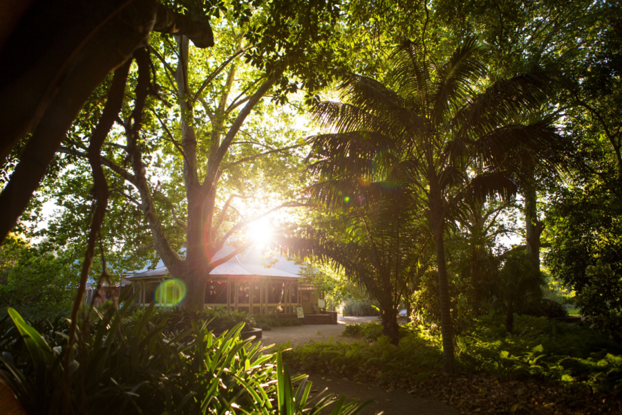 Top 8 Best Fine Dining Restaurants in Adelaide to Indulge in 2025 ...