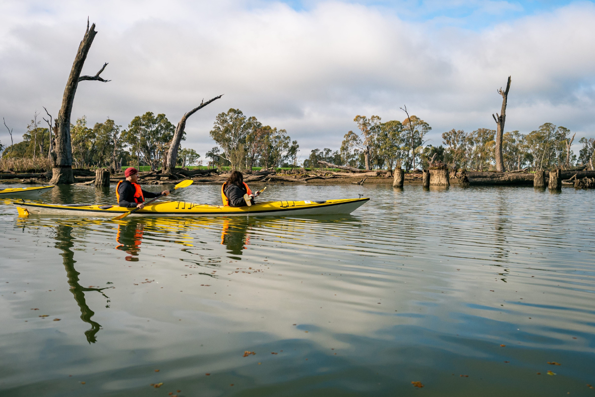 Paddler's Paradise: The 7 Best Kayaking Spots in Victoria - Hunter and ...