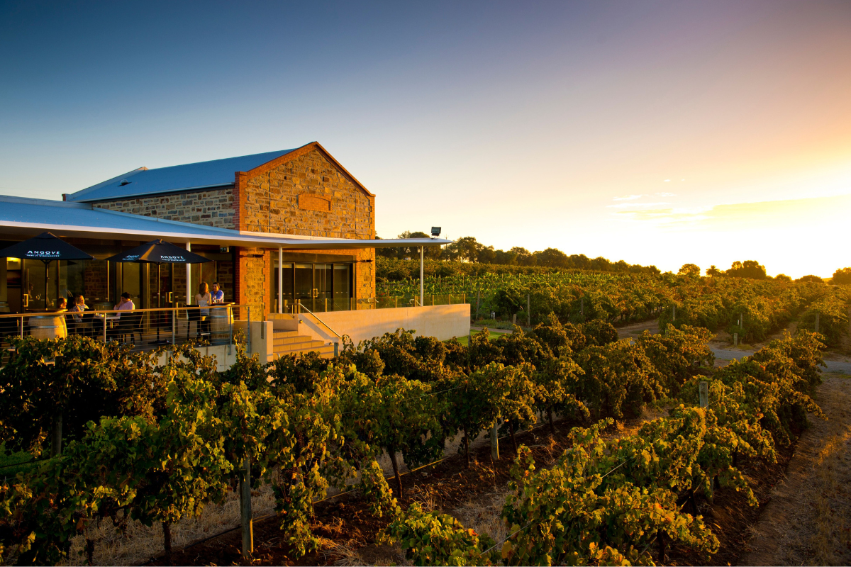 Top 10 Best Wineries in South Australia - Hunter and Bligh